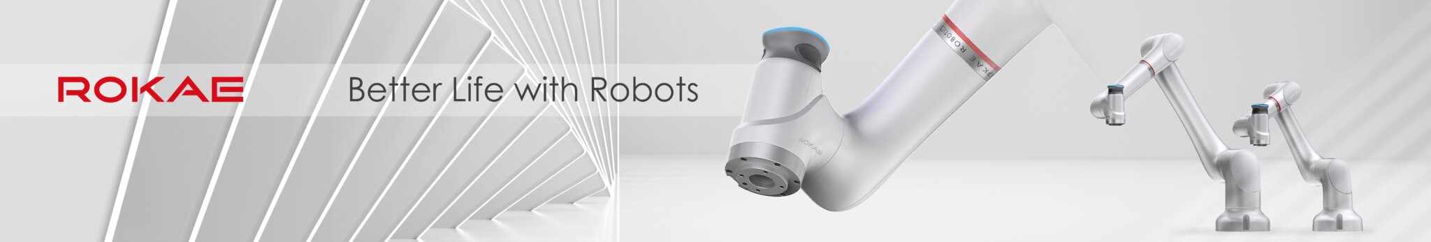 ROKAE Products